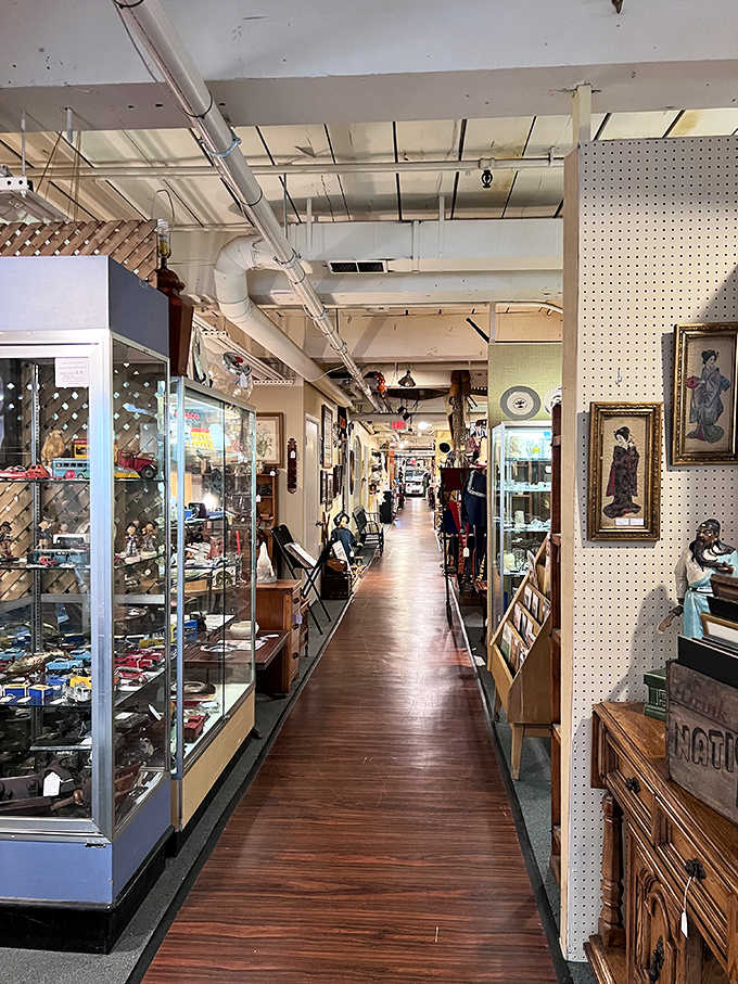 Long corridors of curated treasures stretching into the distance—bring comfortable shoes and cancel your afternoon plans.