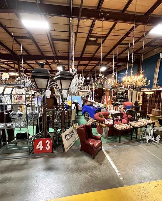 Numbered parking spots guide you through this organized chaos where every corner reveals another era's definition of absolutely essential items.