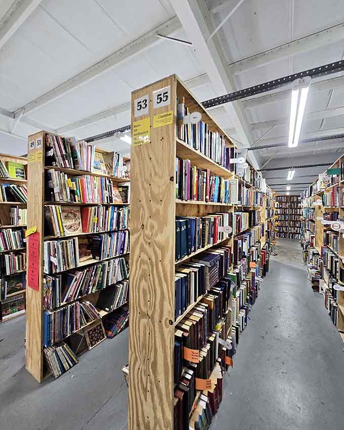 Numbered sections guide you through the maze like breadcrumbs, except these lead to literary satisfaction instead of gingerbread houses.