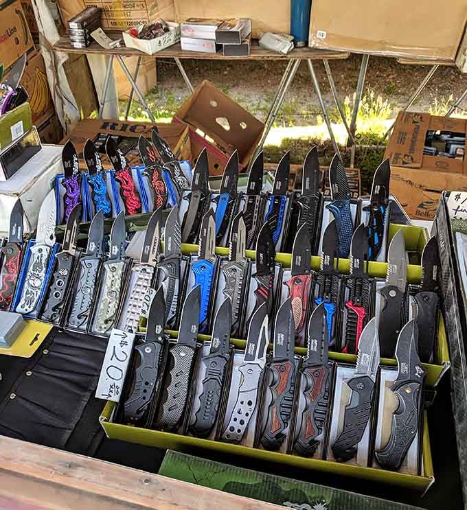Blades gleam in organized rows, turning everyday tools into an impressive display of practical artistry.