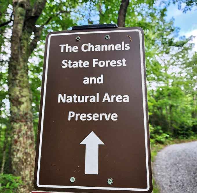 When you see this sign, you know you're about to experience something truly extraordinary and unforgettable.