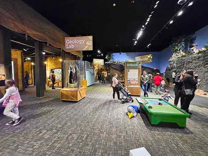 The geology lab where rocks become fascinating and you finally understand what geologists get so excited about.