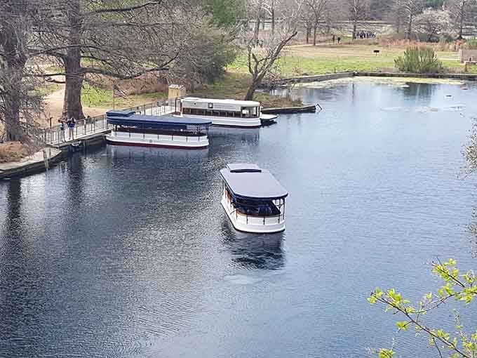 Multiple boats mean multiple chances to witness this natural wonder that never gets old.