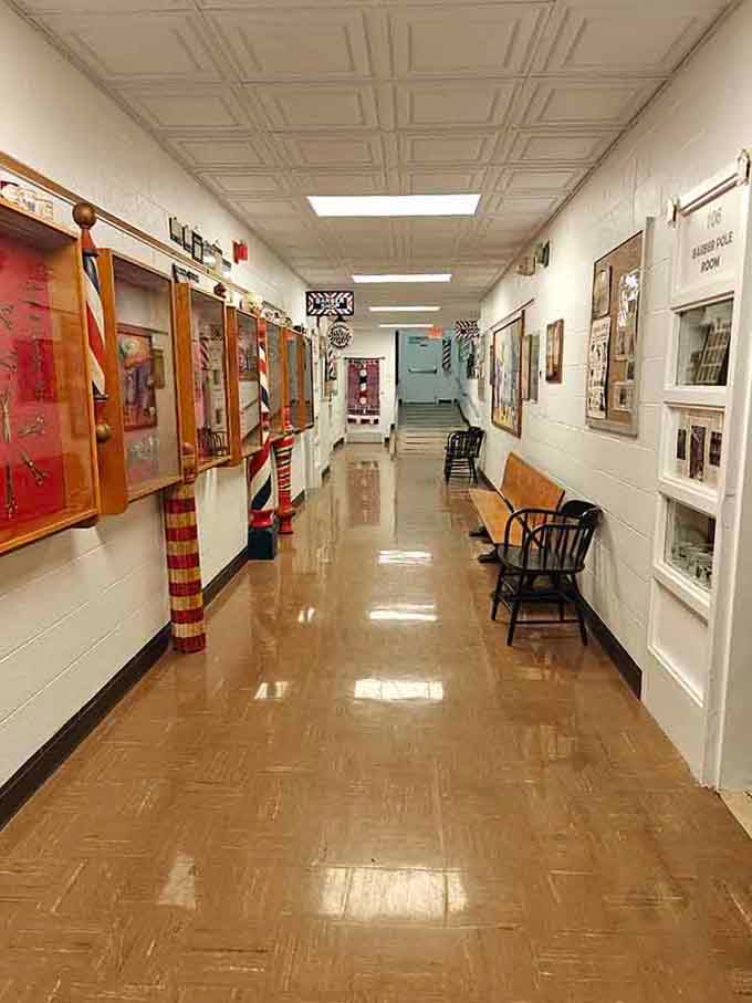Clean hallways lined with exhibits invite you to explore at your own pace without feeling rushed or overwhelmed by crowds.