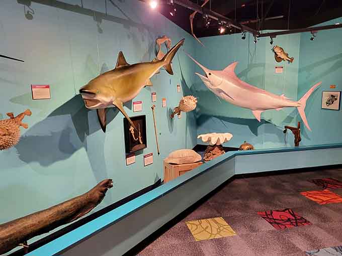 The marine life exhibit brings ocean creatures overhead, creating an underwater world without any of that pesky wetness.