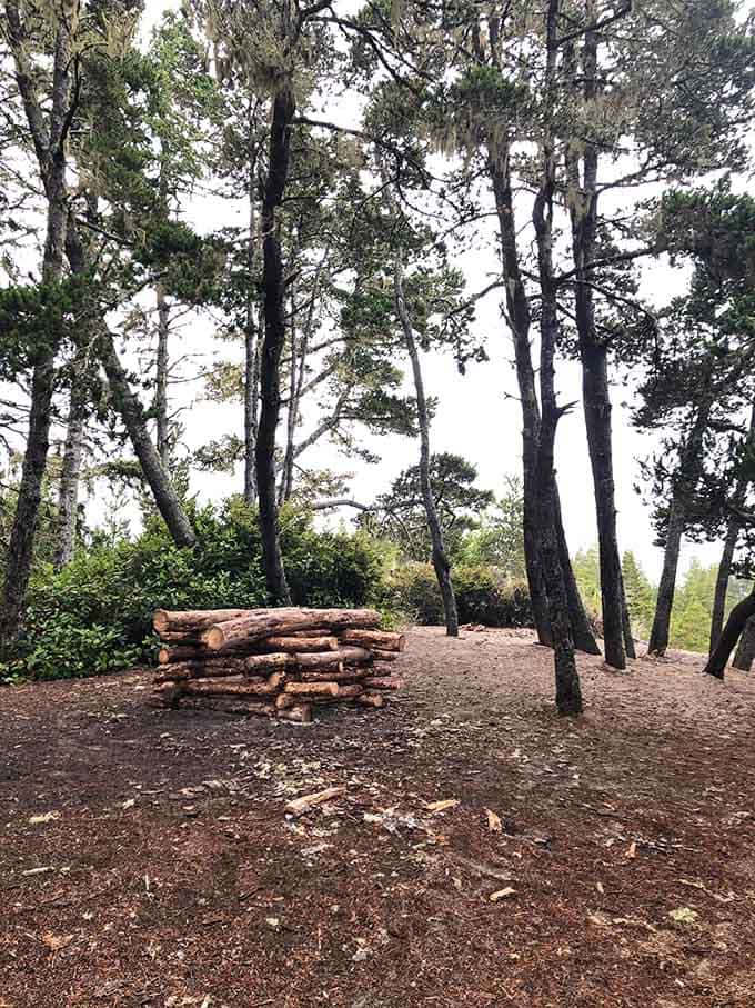 A simple campsite among the pines reminds you that sometimes the best accommodations come with a million-star ceiling view.