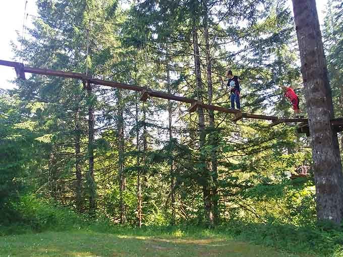 Balance beams suspended between trees offer simple challenges with complicated consequences, all safely harnessed for your protection and sanity.
