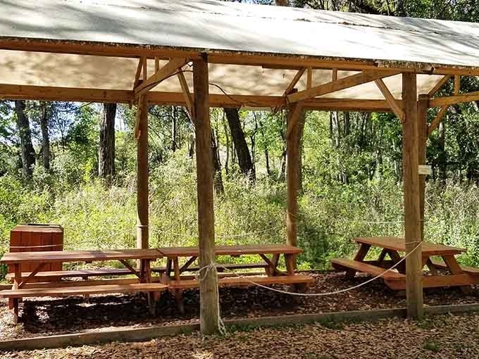 This peaceful shelter offers shade for pre-adventure pep talks and post-climb celebrations where everyone compares their favorite heart-pounding moments.