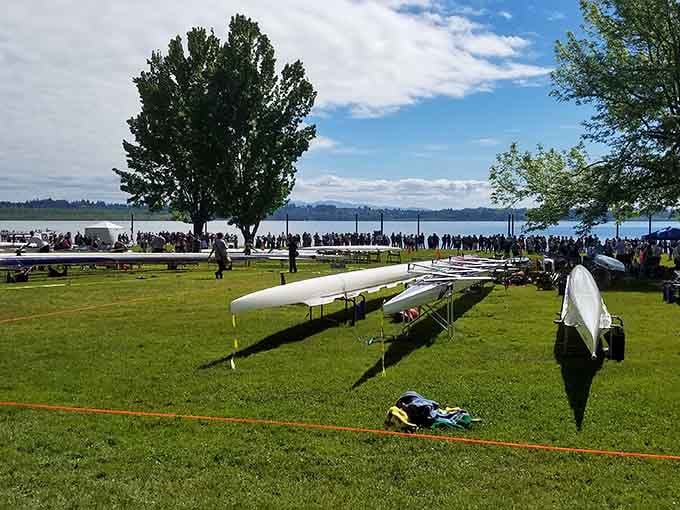 Vancouver Lake Regional Park hosts community gatherings where locals spread out like they're claiming beachfront property, Columbia River style.