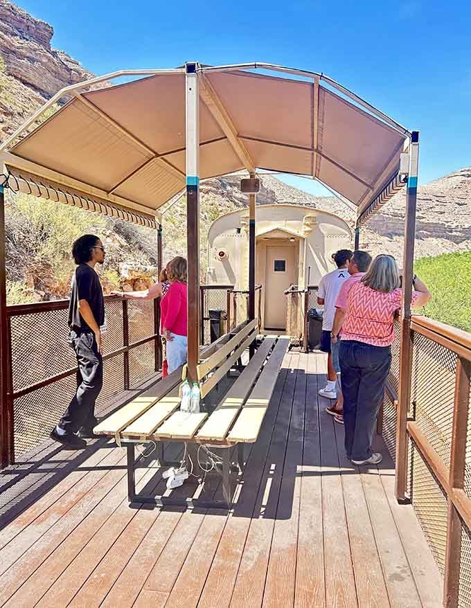 Afternoon light transforms the open-air cars into mobile observation decks for Arizona's greatest natural gallery.