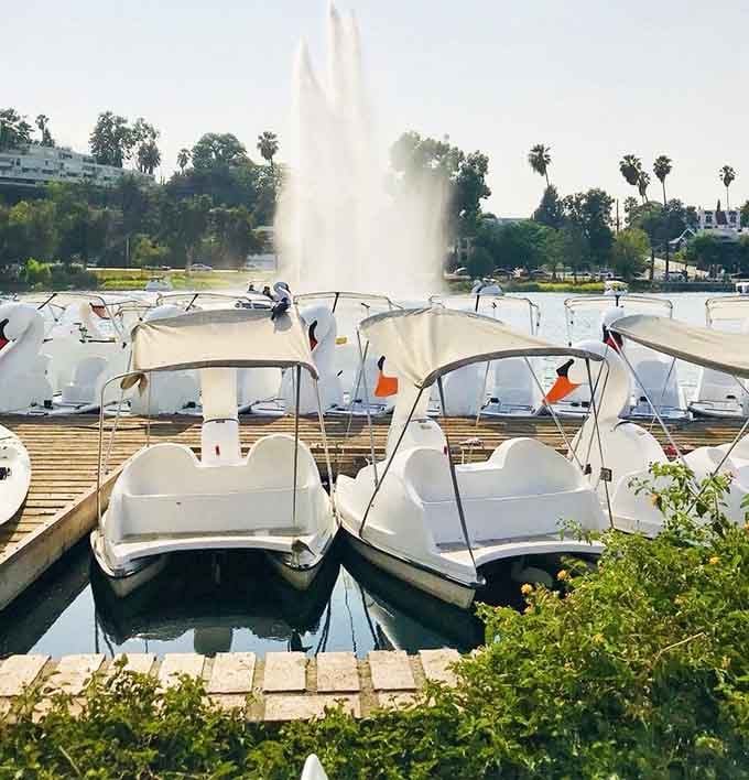 Swan boats add a touch of whimsy to the lake, creating picture-perfect moments for families and romantics.