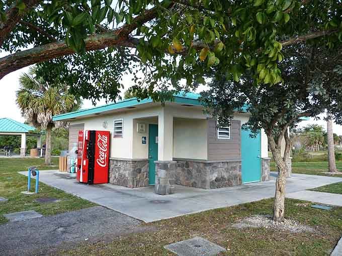 Even the facilities blend seamlessly into this thoughtfully designed space, where every detail enhances your park experience beautifully.