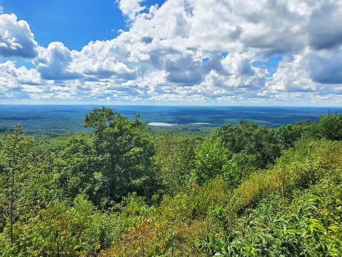 Endless green ridges roll toward distant horizons, reminding you that Massachusetts wilderness extends far beyond Boston's skyline.