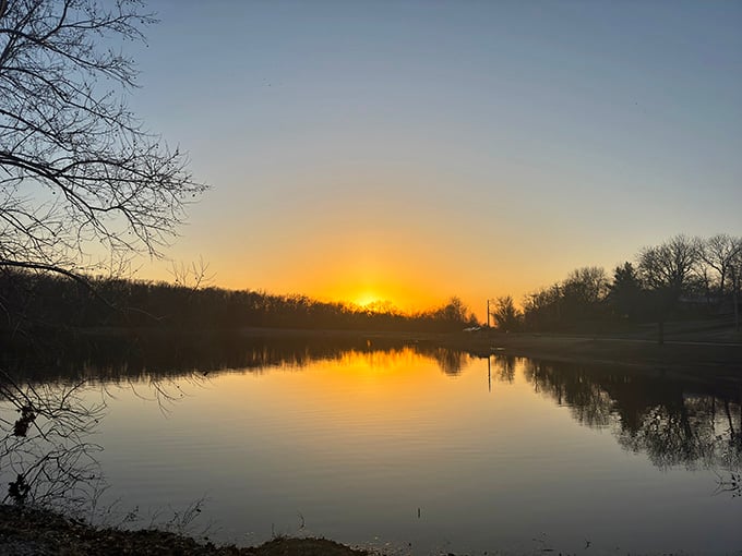 Lions Lake sunset proves nature's best shows are free and worth more than any streaming subscription.