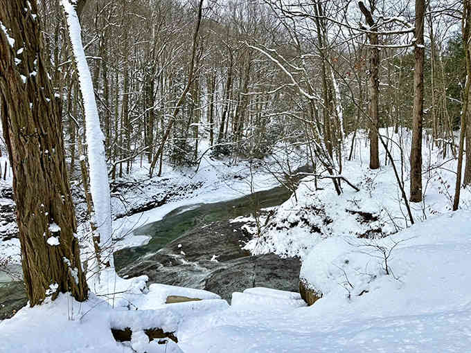 Winter transforms Wintergreen Gorge into a frozen wonderland that looks like Narnia decided to vacation in Pennsylvania.