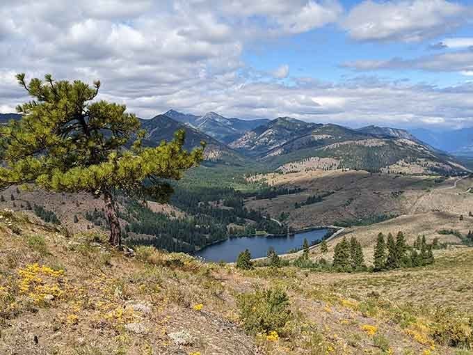 Patterson Mountain's panoramic vista rewards hikers with views so stunning they justify every huffing, puffing step up that trail.