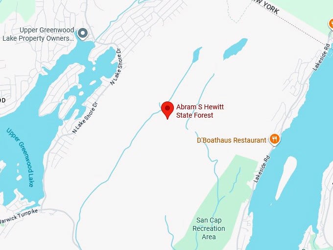 16. abram s. hewitt state forest map