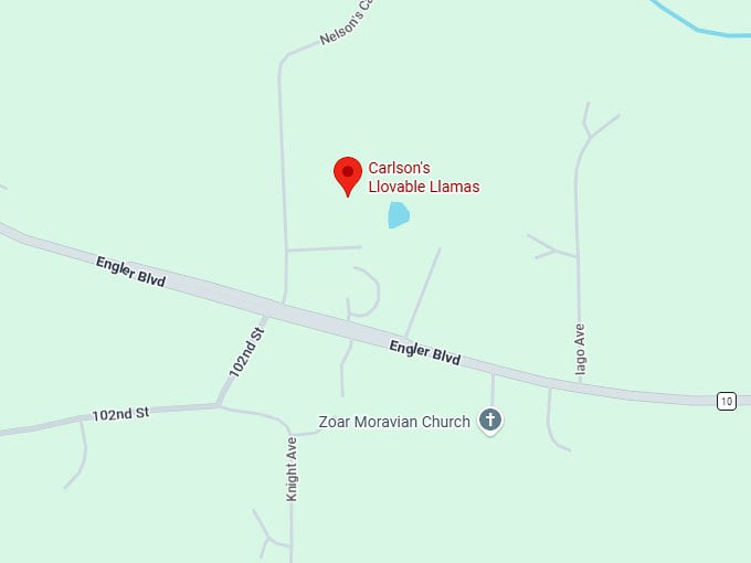 16. carlson's llovable llamas map