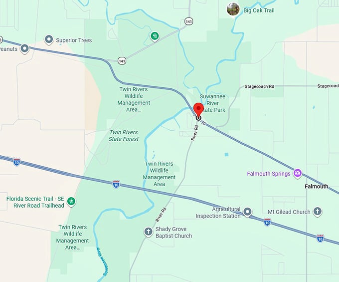 16. ellaville, fl map