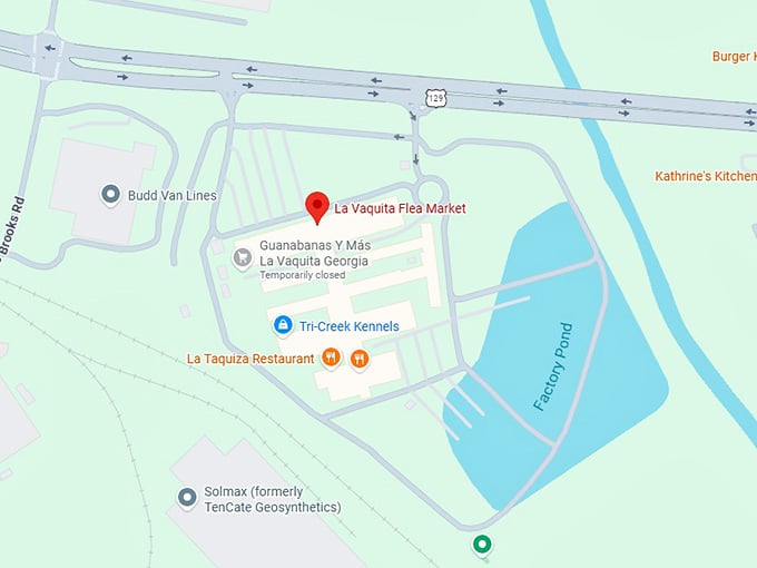 16. la vaquita flea market map