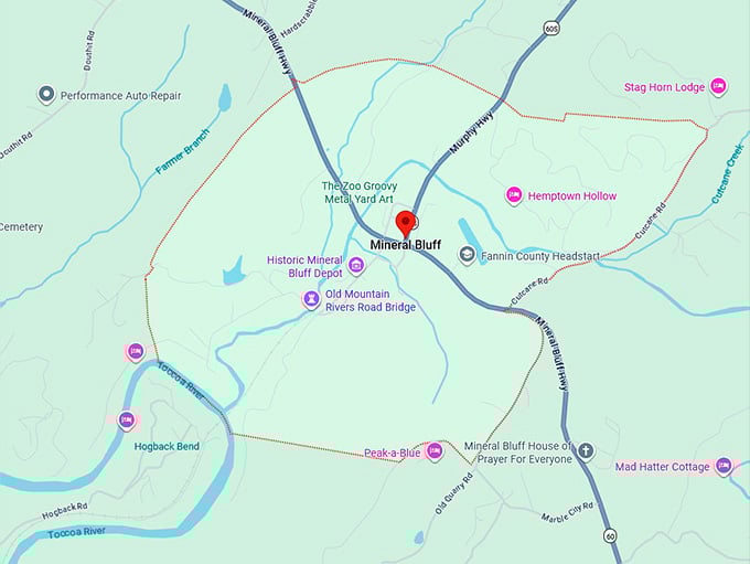 16. mineral bluff, ga map