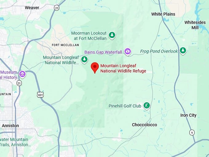 16. mountain longleaf national wildlife refuge map
