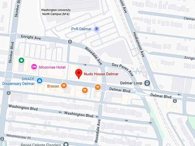 16. nudo house delmar map