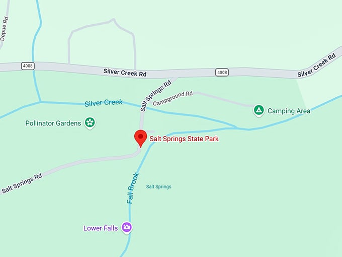 16. salt springs state park map