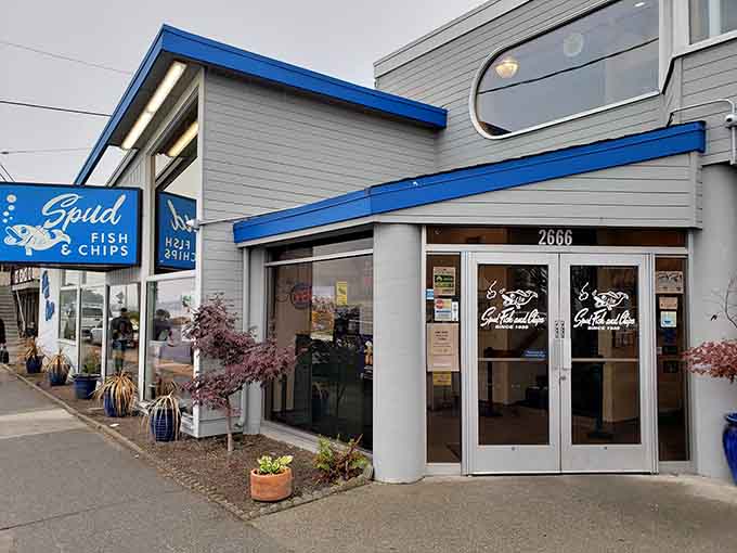 That cheerful blue sign and those glass doors are your gateway to crispy, golden fish and chips perfection.
