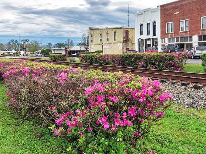 Bright azaleas bloom alongside historic railroad tracks, proving small-town charm doesn't need a filter to shine beautifully.