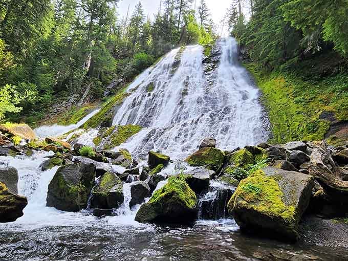 Nature's own wedding veil cascades over moss-covered boulders, creating a scene straight from a storybook fantasy.