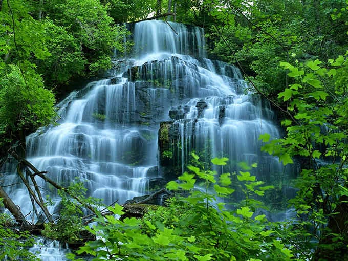 Nature's staircase tumbles down in layers of liquid silver, framed by emerald leaves that glow like stained glass.