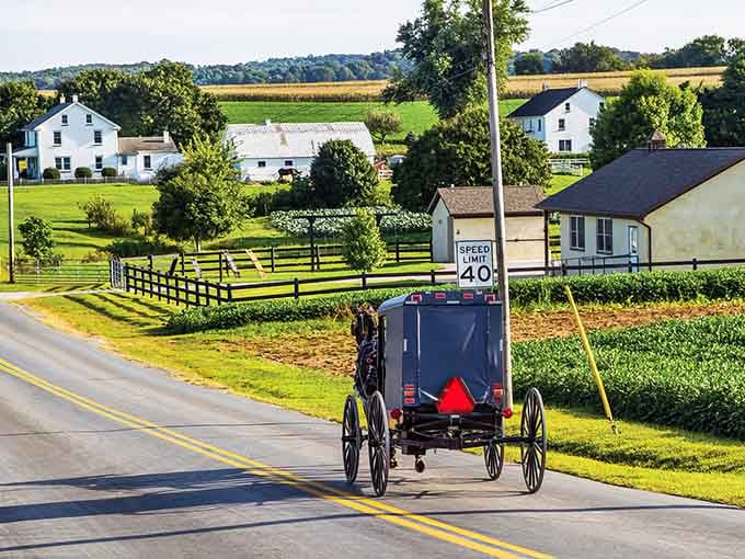 That buggy rolling past pristine farmhouses proves the best traffic jams involve actual horsepower and zero road rage.