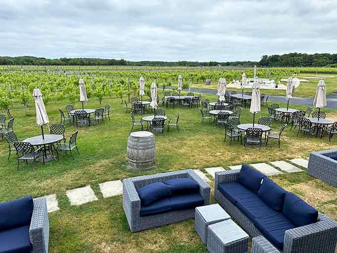 Look at this outdoor paradise where navy lounges meet endless vineyard views and pure relaxation.