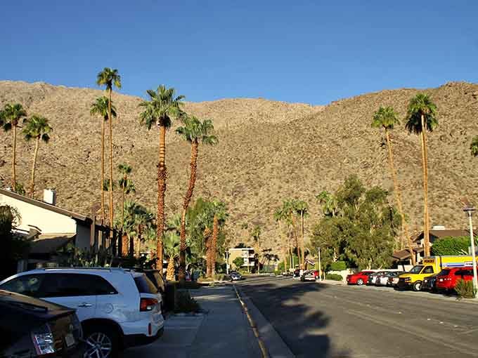 Those mountains rising behind palm-lined streets create a desert backdrop that looks straight out of a classic movie.