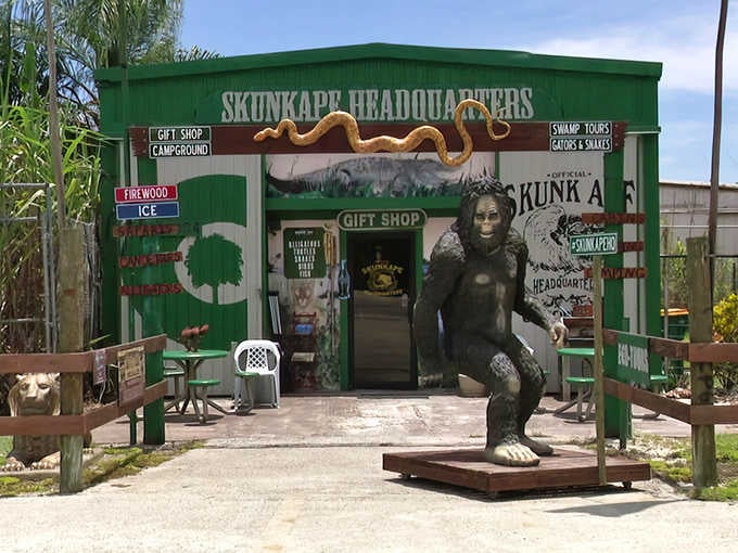 That giant Skunk Ape statue greeting you at the entrance is basically Florida's version of Bigfoot with better PR.