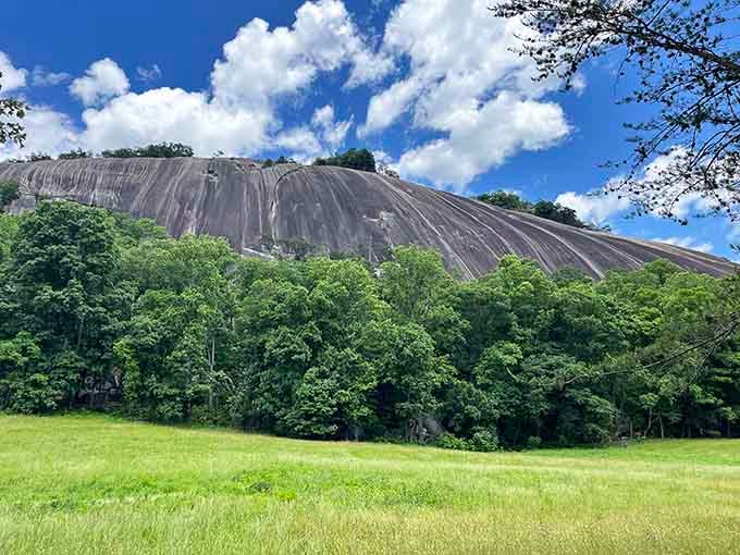 That smooth granite dome rising from the forest looks like nature's own version of a giant bald head.