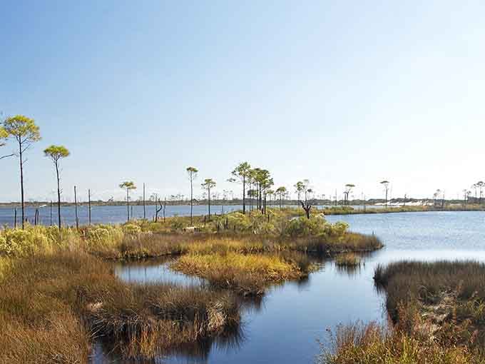 Golden marshlands meet endless sky in this peaceful refuge where wildlife outnumbers people by thousands.
