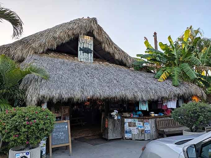 When your restaurant looks like a tropical hideaway, you're already winning before the first bite arrives.