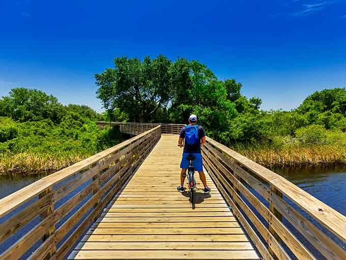 Pedaling through paradise on wooden planks, where marshes meet sky and the world slows to a perfect pace.