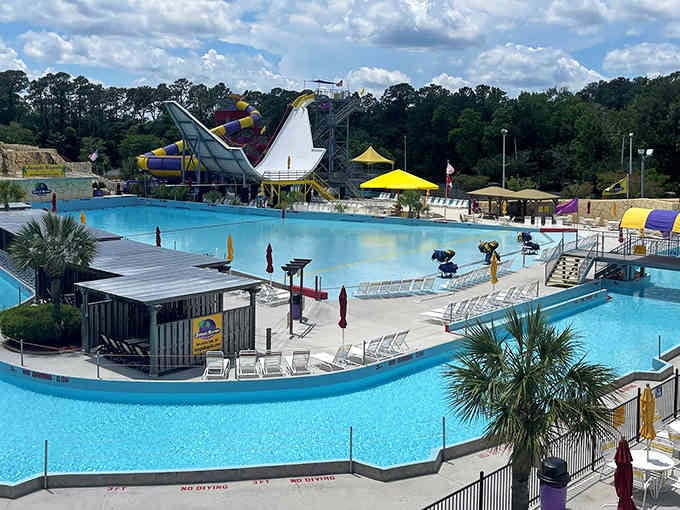 Palm trees and bright blue pools create a tropical paradise where worries melt faster than ice cream.