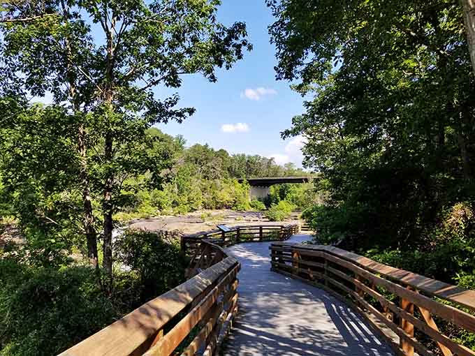 This winding boardwalk leads you straight into nature's therapy session, no appointment needed.