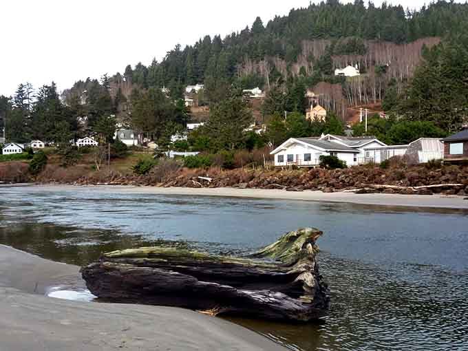 Driftwood sculptures dot the beach like nature's own art gallery, free admission and open year-round.