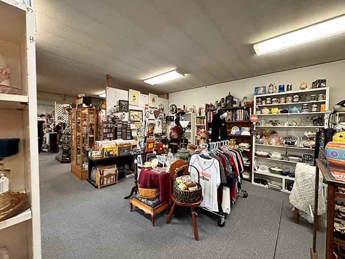 Step inside and suddenly you're in grandma's attic, if grandma collected absolutely everything and organized it beautifully.