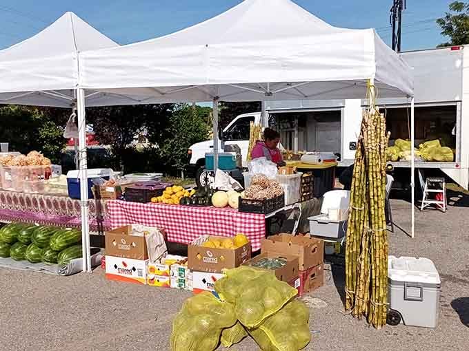 Fresh produce under cheerful tents proves you can buy dinner and vintage finds in one stop.