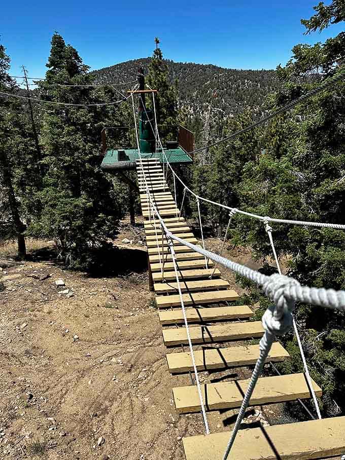 This wooden pathway leads to adventure, proving that the journey really is half the fun.