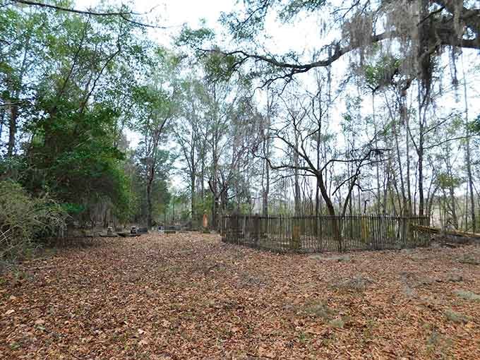 Iron fencing stands guard through the misty woods, protecting memories that refuse to fade with time.