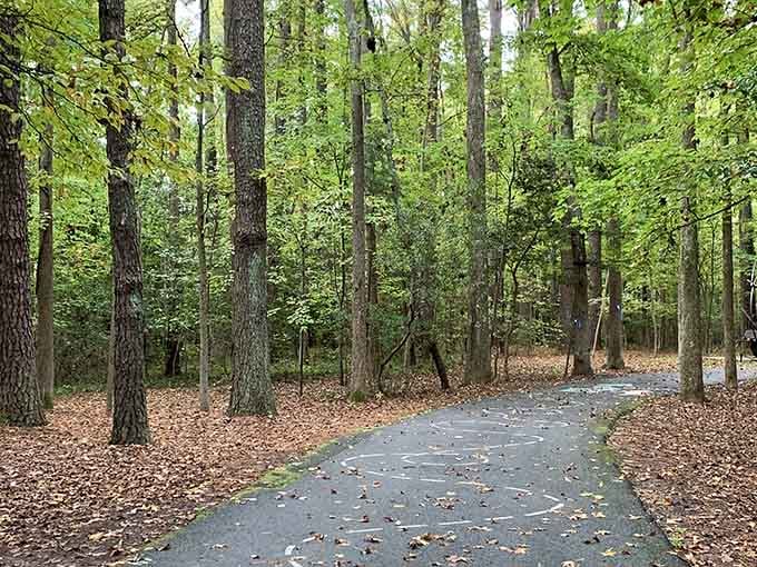 These peaceful woodland paths prove that getting your steps in can actually be a cultural experience.