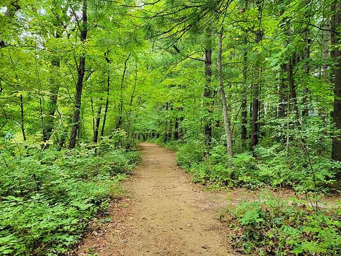 Forest paths this inviting make you forget you're still in Illinois, not some faraway wilderness.