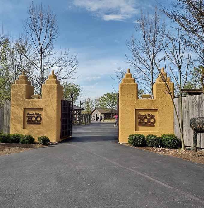 Those golden entrance pillars promise adventure ahead, like finding Narnia except with more camels and fewer talking lions.
